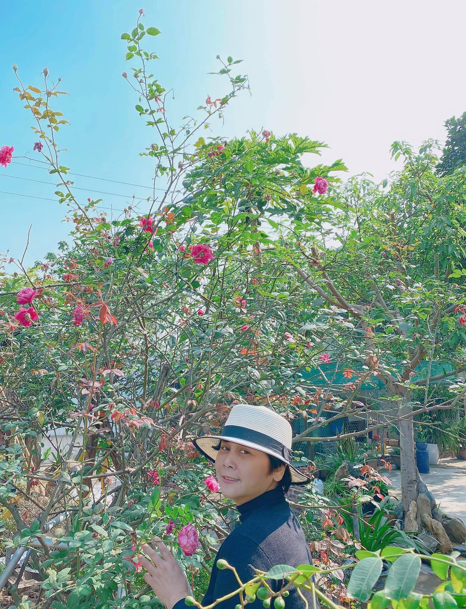 Cận cảnh nhà vườn “đi mỏi chân” của NSND Minh Hằng | Báo Tri thức và ...