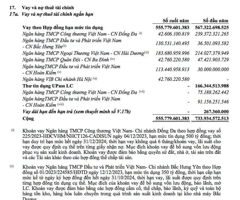 Thế chấp nhà chủ tịch vay tiền, CADI-SUN làm ăn sao? | Báo Tri thức và Cuộc sống - TIN TỨC PHỔ ...