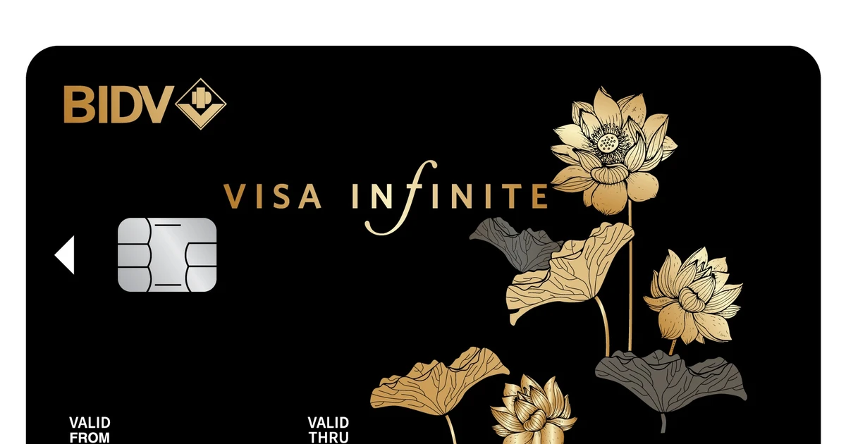 Trải nghiệm tuyệt vời cùng BIDV Visa Infinite | Báo Tri thức và Cuộc ...