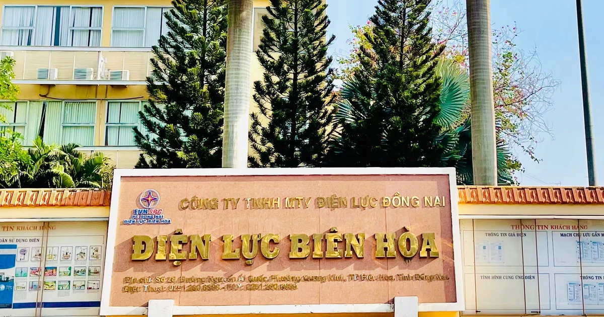 Điện lực Biên Hòa: Năng lực nhà thầu trúng gói xây dựng, nâng cấp đường ...