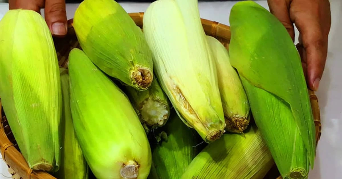 3 loại người sau nên ăn ít ngô, chú ý những điều cấm kỵ | Báo Tri thức và Cuộc sống - TIN TỨC ...