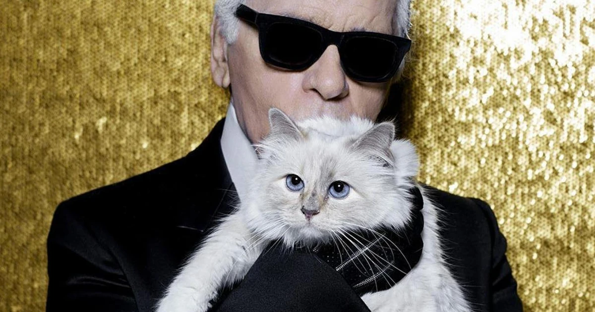 Mèo Choupette - Richcat sở hữu tài sản khủng vạn người mơ | Báo Tri ...