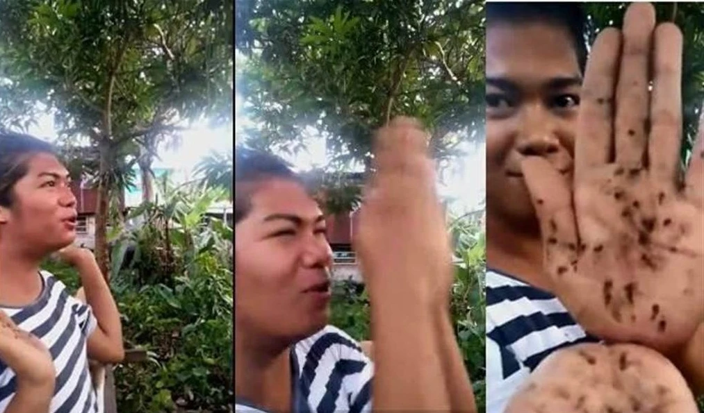 Kỳ lạ người đàn ông “sát thủ” loài muỗi, hô tiếng muỗi đến | Báo Tri ...