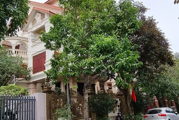 Kẽ hở kê khai tài sản của người có quyền hạn, chức vụ | Báo Tri thức và Cuộc sống - TIN TỨC PHỔ ...