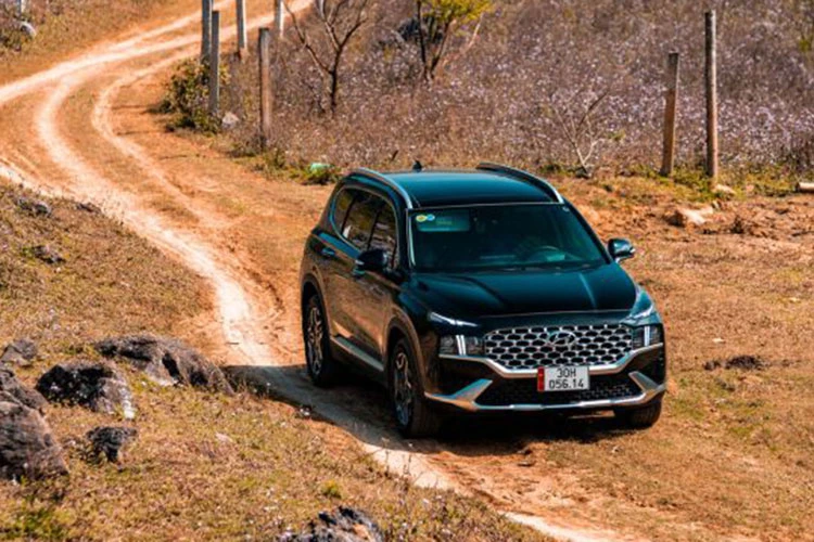 Hyundai SantaFe, Creta và Tucson tăng giá tới 35 triệu tại Việt Nam | Báo Tri thức và Cuộc sống ...