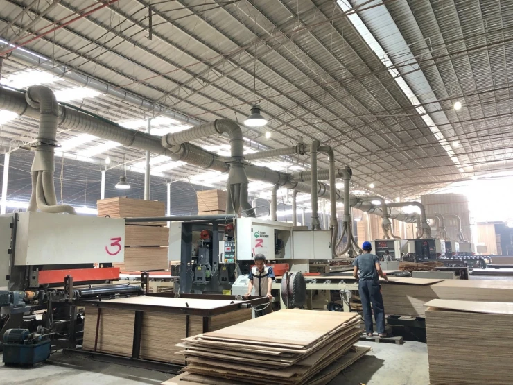 Công ty TNHH Junma Phú Thọ: Gỗ dán công nghiệp "Made in Vietnam" vươn ...