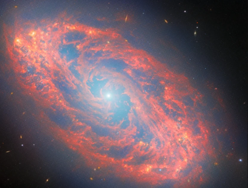 Ngọan mục ảnh thiên hà xoắn ốc NGC 5134 khoe sắc