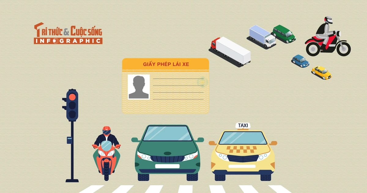 [INFOGRAPHIC] Hai cách cấp, đổi lại giấy phép lái xe từ ngày 1/3 | Báo ...