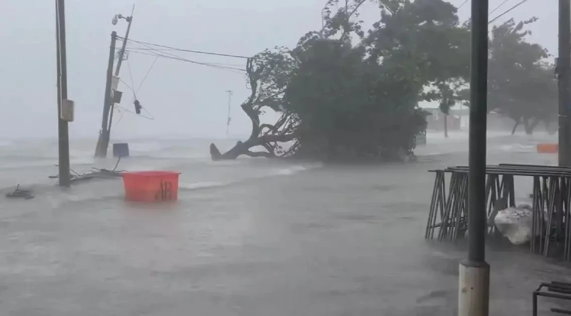 Hình ảnh bão Matmo đổ bộ vào Trung Quốc | Báo Tri thức và Cuộc sống ...