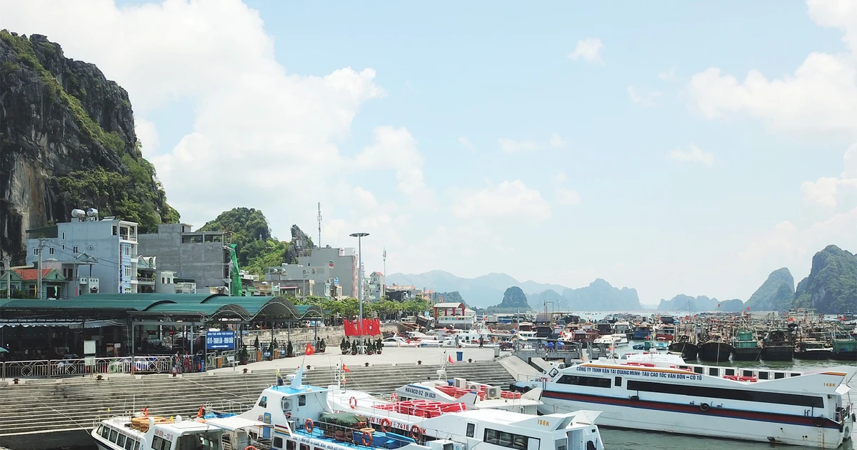 Nhiều chủ tàu “đình công”, cảng Cái Rồng được tiếp tục hoạt động | Báo ...