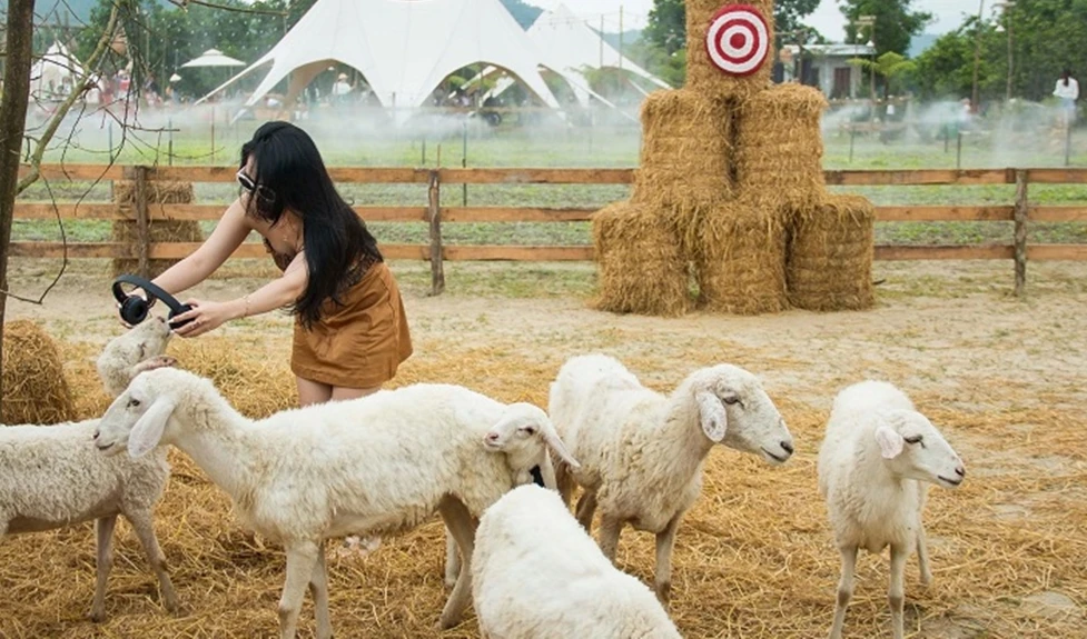 Cận cảnh điểm du lịch CFarm Huế bị “tuýt còi” vì tự ý thu vé | Báo Tri thức và Cuộc sống - TIN ...