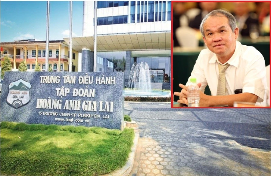 Biết gì về Cty Quỹ Việt Cát mua 60 triệu cổ phiếu HAG? | Báo Tri thức ...