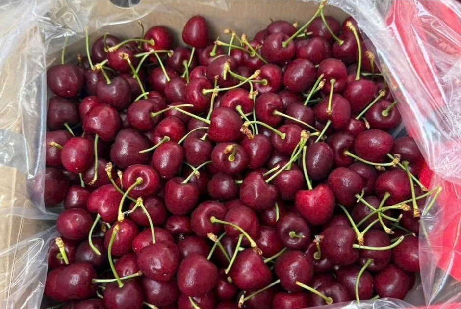 Gần Tết, cherry nhập khẩu bất ngờ giảm giá sâu