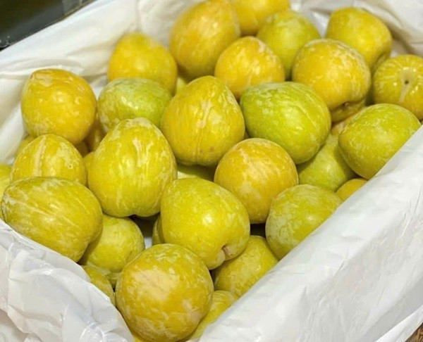 Mận cau Trung Quốc rẻ như rau, giá chỉ 25.000 đồng/kg
