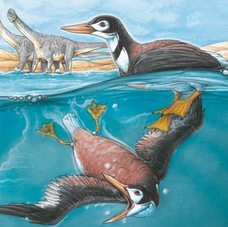 Shocking truth about the first water bird on Earth