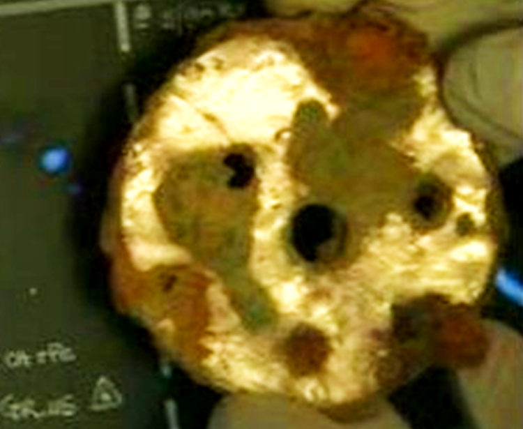 Mysterious Saxon artifact discovered containing controversial secrets