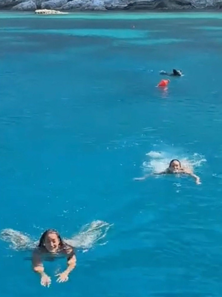 Wild boar rushes into the sea to chase tourists in the Mediterranean