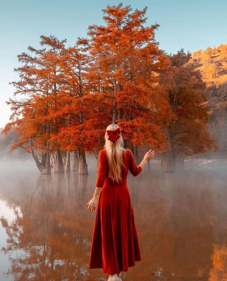 Khu rừng đỏ bí ẩn ở Nga | Báo Tri thức và Cuộc sống - TIN TỨC PHỔ BIẾN KIẾN THỨC 24H